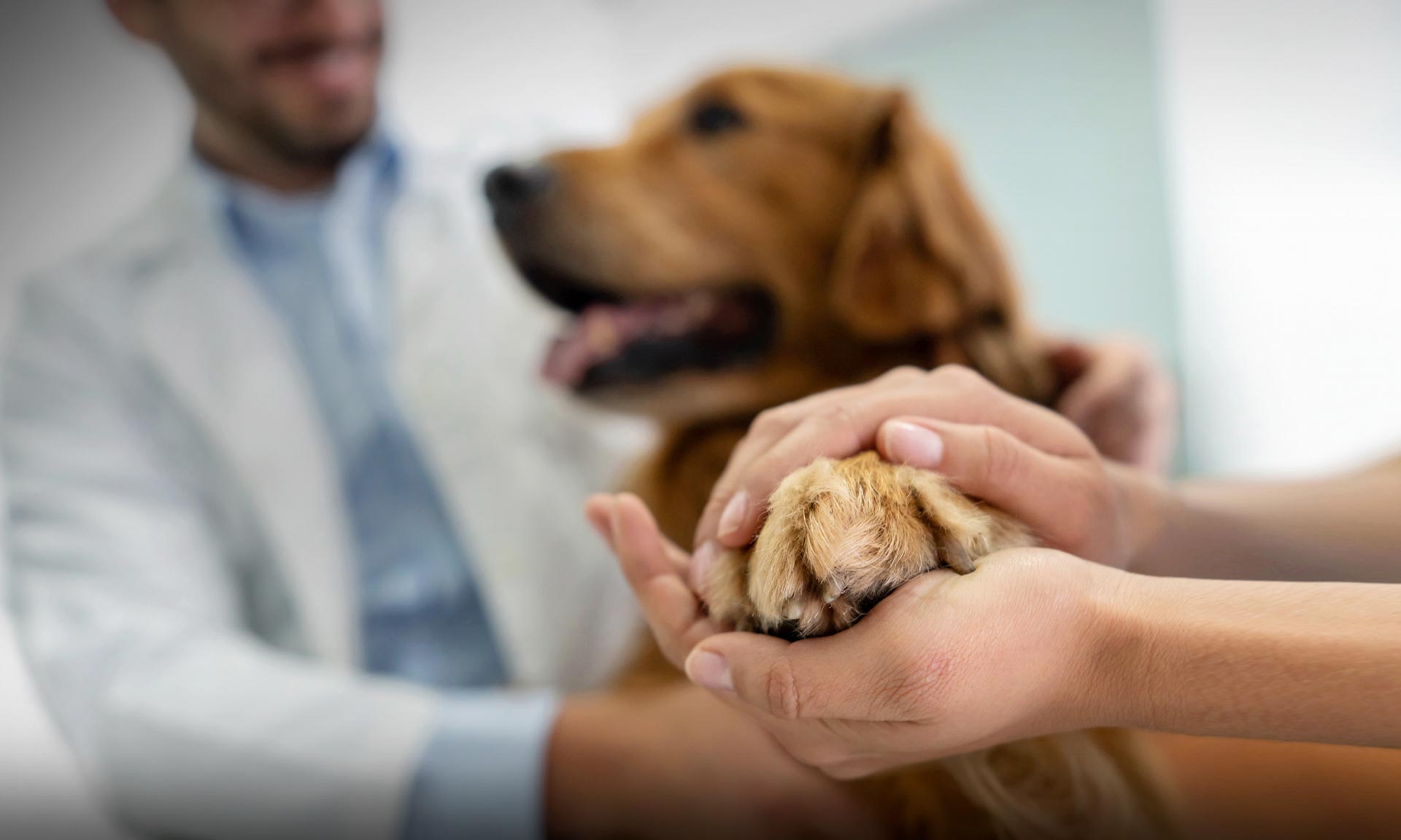 Verwijzing - Healthhoeve